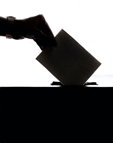 UIS to hold an online panel discussion on ranked choice voting in ... UIS to hold an online panel discussion on ranked choice voting in ...